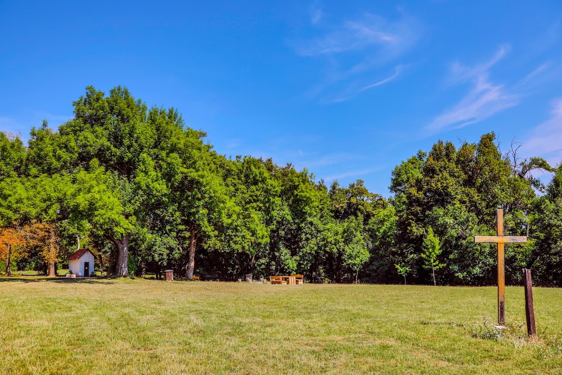 Normafapark | Jelenlegi időjárás a Normafán